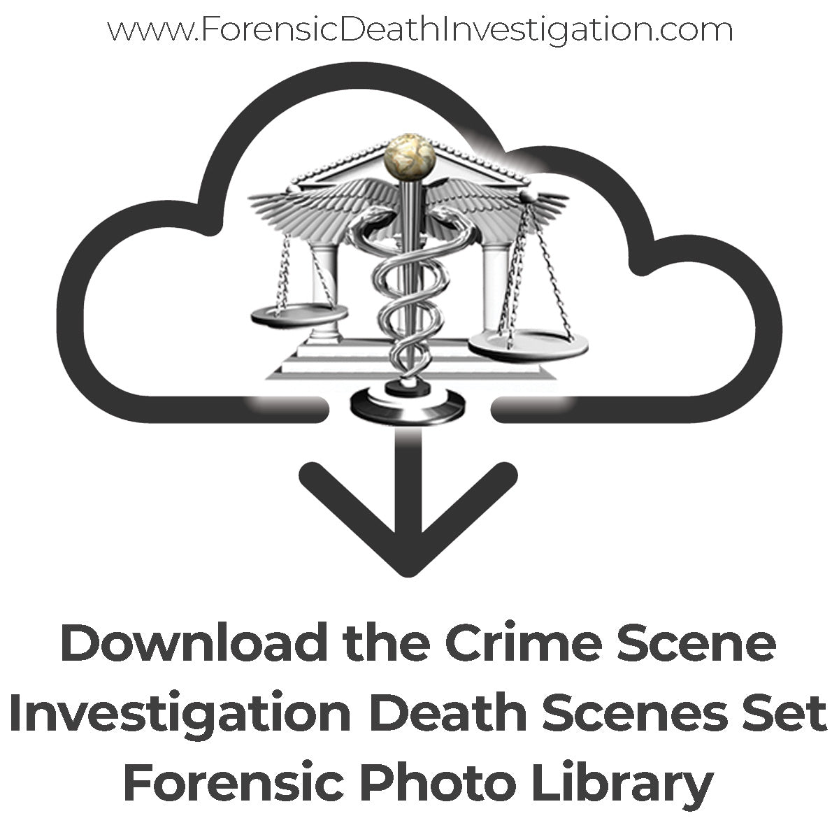 Crime Scene Investigation Death Scenes Set – Forensic Death Investigation